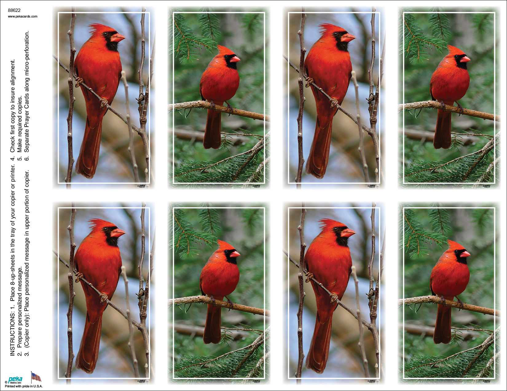 88622 CARDINAL ASSORTMENT – Peka Memorial Cards